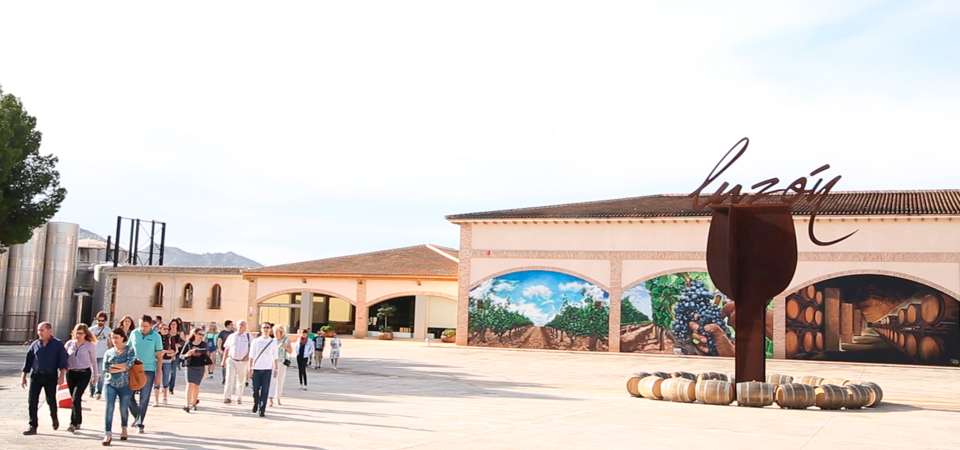 Visita a Bodegas Luzón